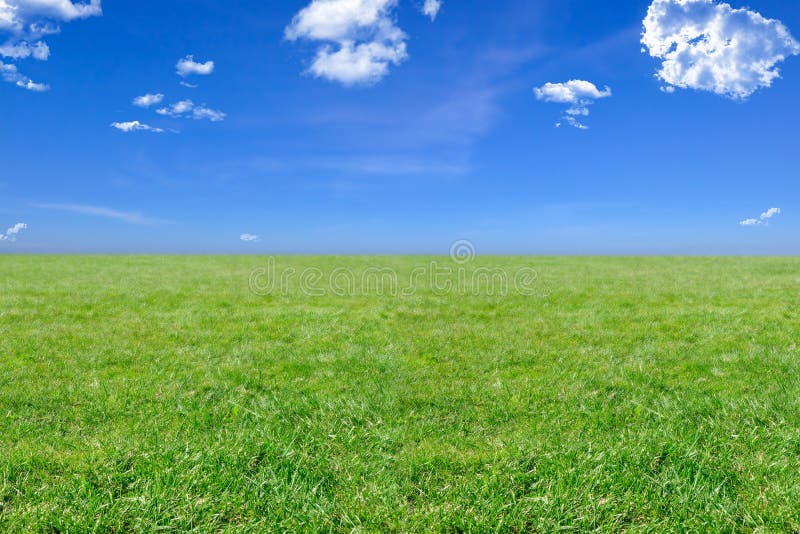 Empty Green Field Stock Photos - Download 61,025 Royalty Free Photos
