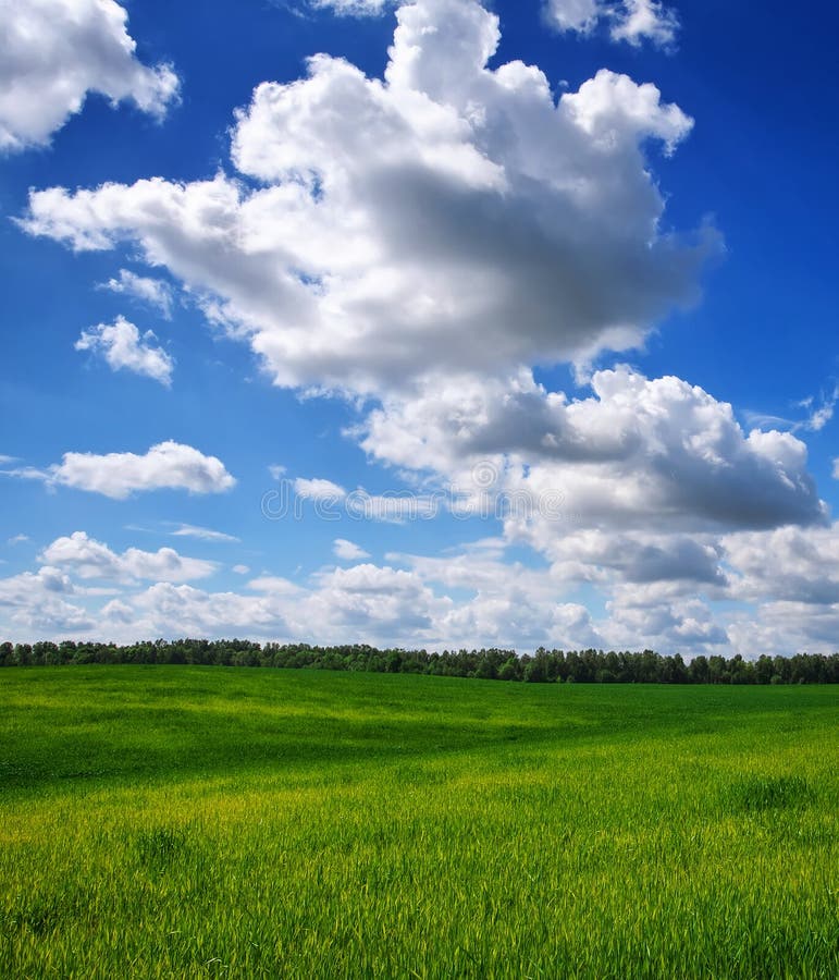 Green field and blue sky. stock image. Image of cloud - 72289157