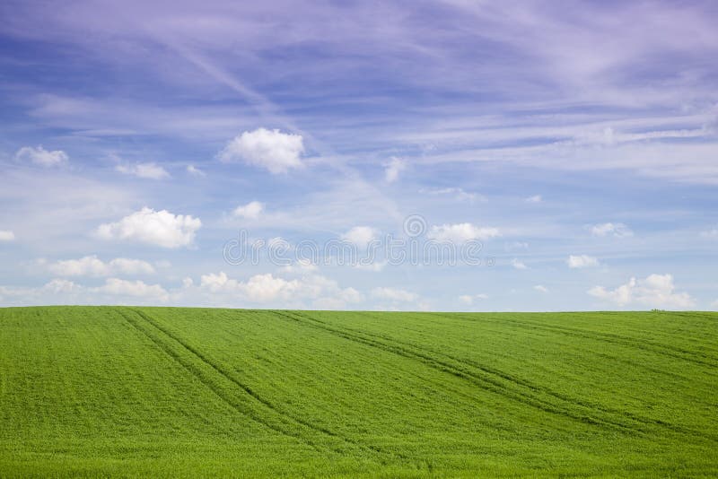 Green field with blue sky stock photo. Image of background - 94952080