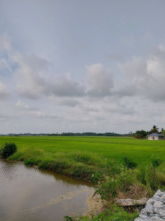 Green Field, Blue Sky, and Pond Interframe Stock Photo - Image of field ...