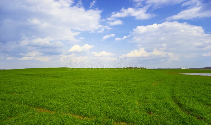 Green field and blue sky stock photo. Image of spring - 270103652