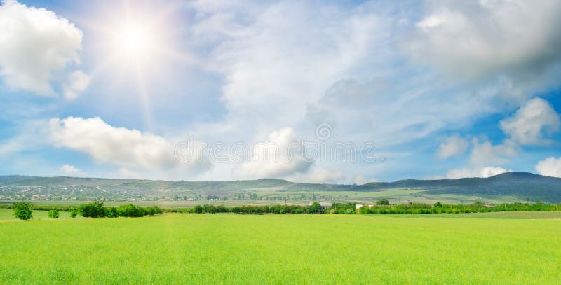 Green Field, Sky and Sun. Wide Photo Stock Photo - Image of agriculture ...