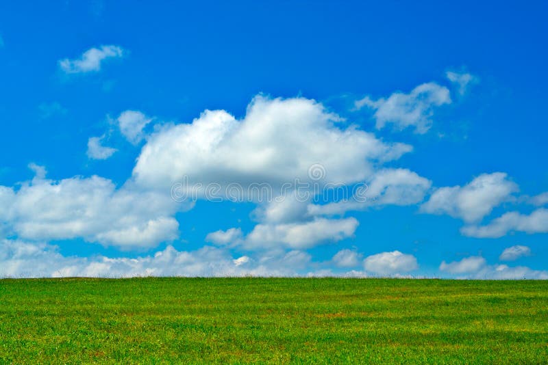 Green Field, Blue Sky and White Clouds Stock Photo - Image of landscape ...