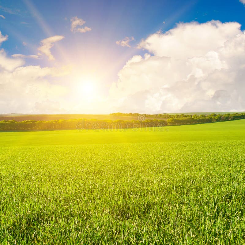Green Field and Bright Sun Rise Stock Photo - Image of sunset ...