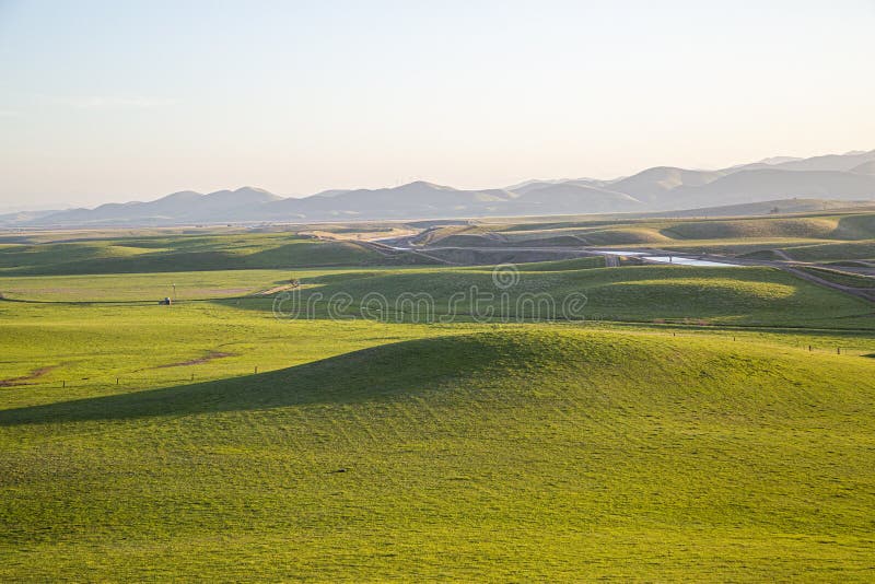 Green field in California stock photo. Image of plant - 190388252