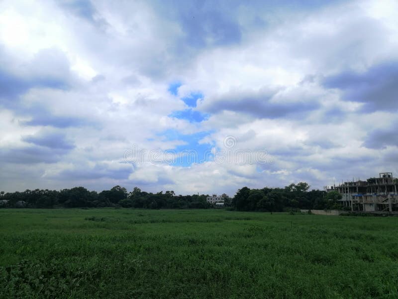 Green field with clear Sky stock photo. Image of clear - 253995616