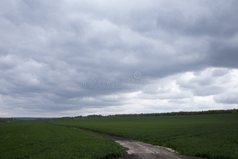 Green Field and Cloudy Day. Stock Image - Image of stretch, sport: 70875515