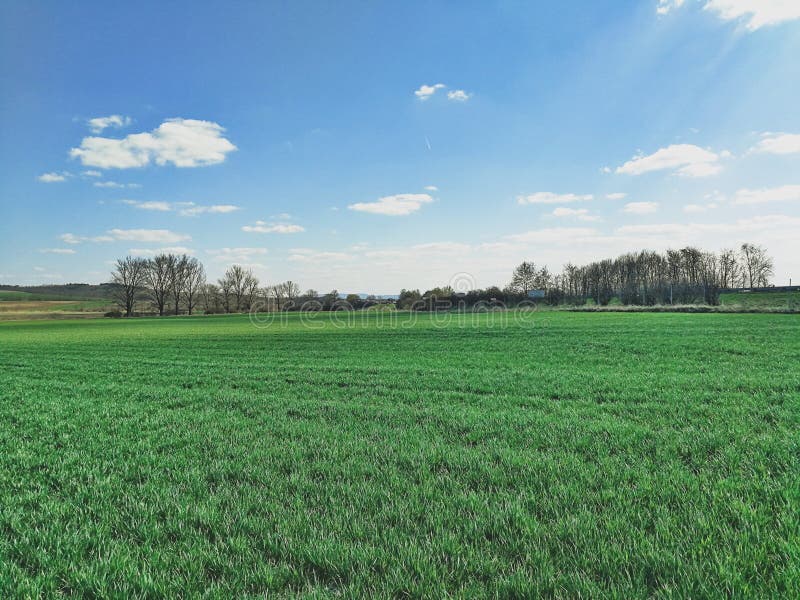 Green field stock image. Image of bluesky, spring, green - 143907379