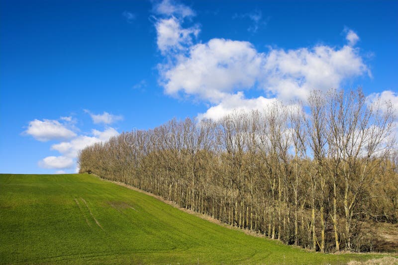 Green field in countryside stock photo. Image of scenery - 2264368