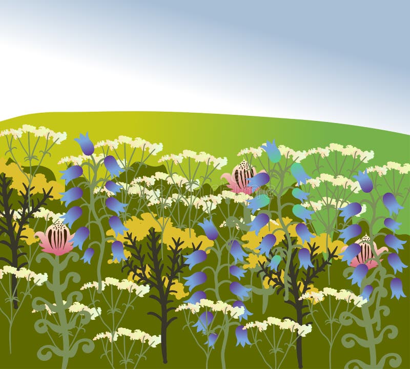 Green Field with Different Wildflowers. Image of Nature Vector. Stock ...