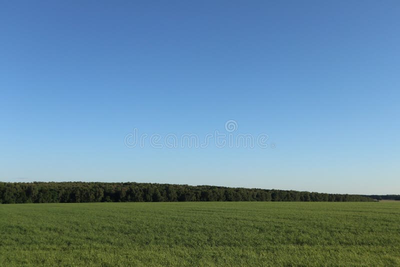 Green Field and Endless Blue Sky Stock Image - Image of russian, fields ...