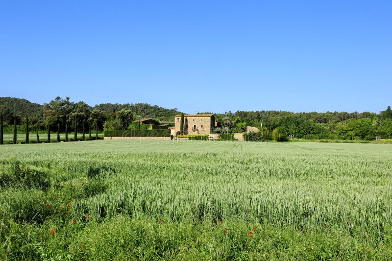 Green field and farm stock image. Image of garden, travel - 26708657