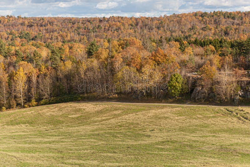 Green Field in Front of an Autumn Forest Stock Image - Image of farm ...