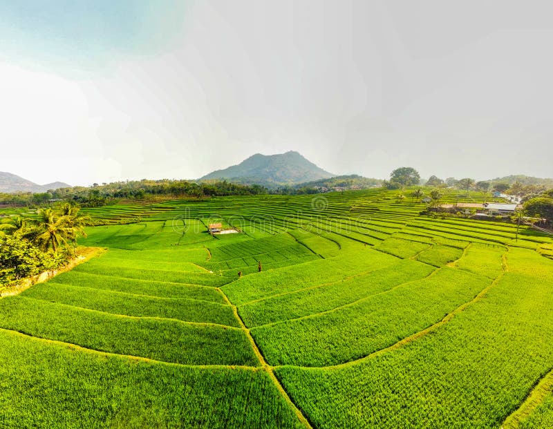 Green Field in Garut with Nice View Stock Photo - Image of field, view ...