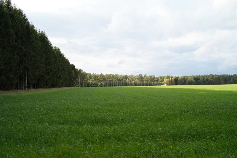 A Green Field in a German Village Stock Image - Image of natural, plant ...
