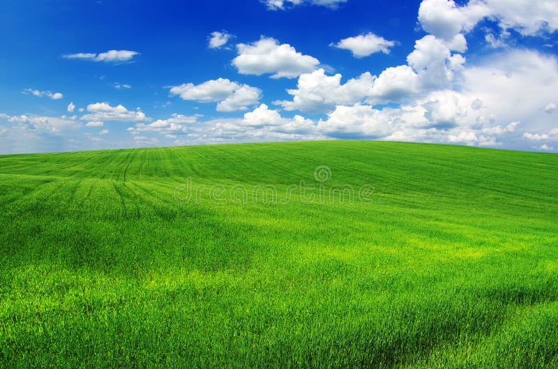Green field stock image. Image of outside, grassland - 268492209