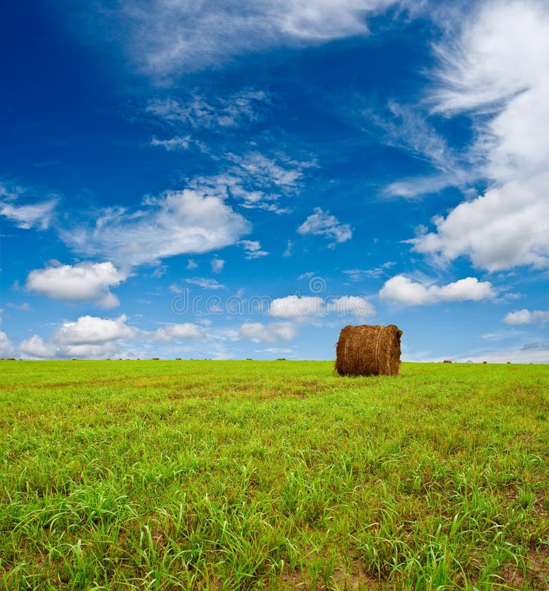 Hay roll on green grass stock photo. Image of golden - 10783758