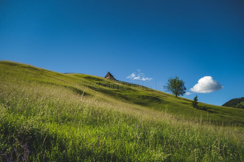 Green Field on the Hill with Trees and a Vanilla Clouds in the Sky ...