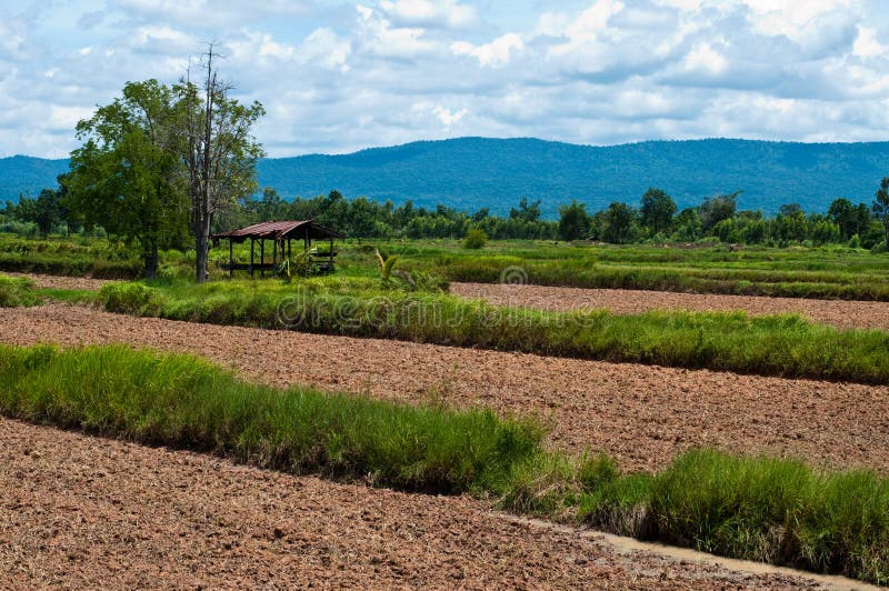 Green field and hut stock photo. Image of cloudy, view - 14822288