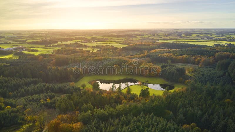 Green field with lake stock photo. Image of green, tree - 257581060