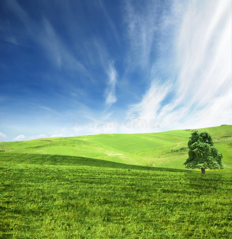 Green field landscape stock photo. Image of grass, outdoor - 7028122