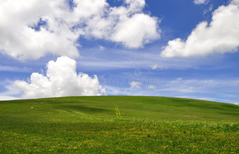 Green field Landscape stock photo. Image of lawn, green - 103999020