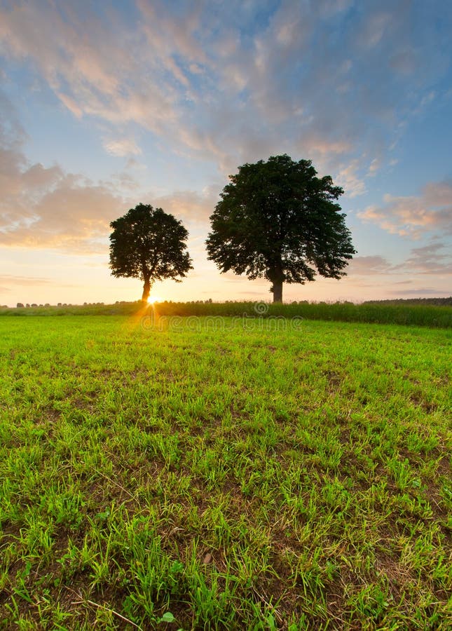 Green field landscape stock image. Image of crop, landscape - 36775147