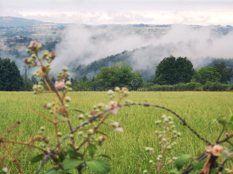 Green Field with Mountains in the Mist Stock Image - Image of nature ...