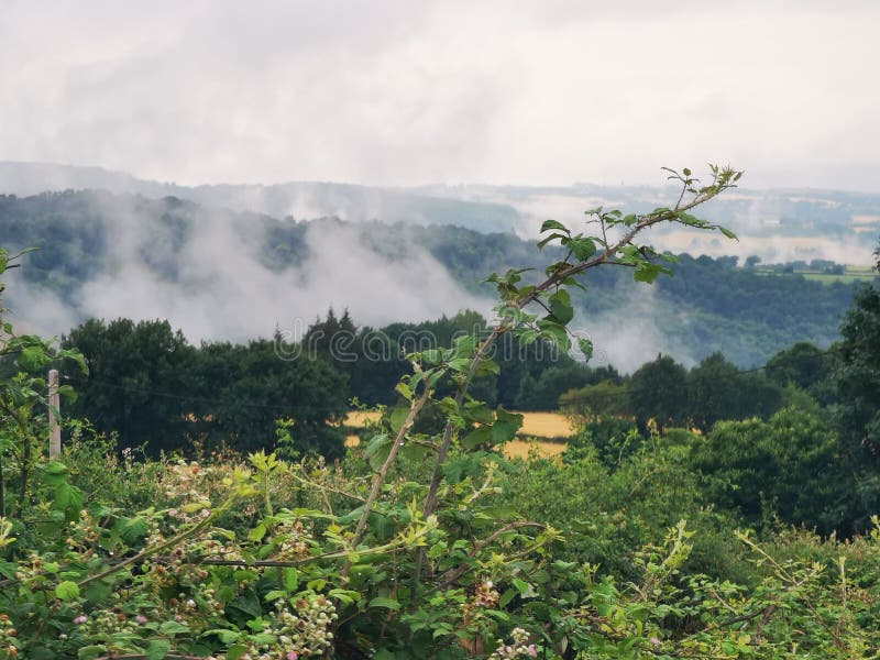 Green Field with Mountains in the Mist Stock Image - Image of outdoor ...