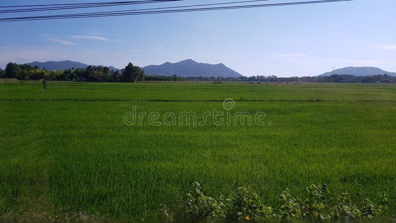 Green Field Nature Beautiful Scenery Grass Stock Image - Image of ...