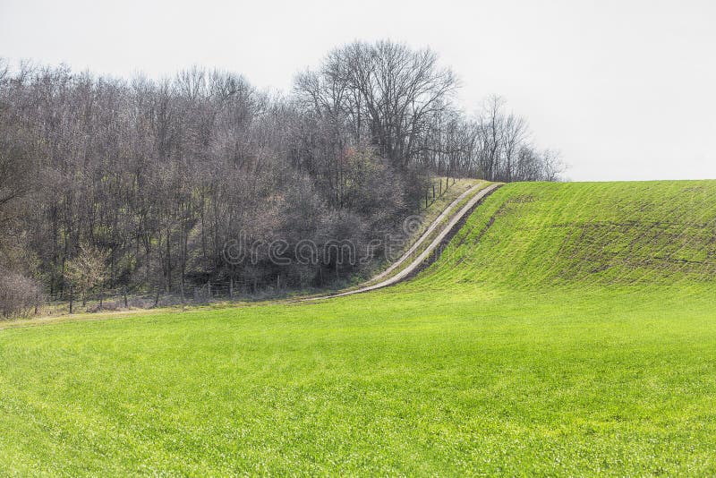 Green field near forest stock image. Image of springtime - 89779821