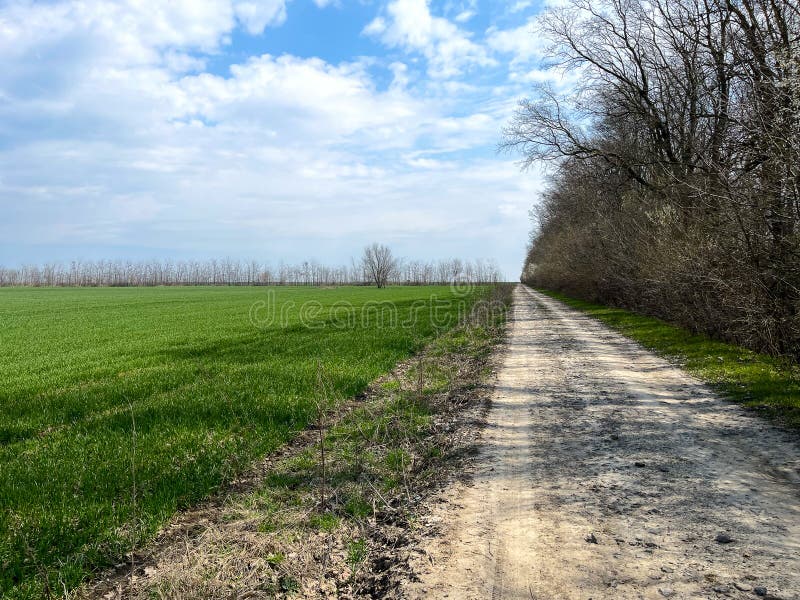 Green Field Near Road and Forest Stock Image - Image of forest, field ...