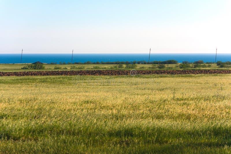 Green field stock photo. Image of seashore, sealine, shore - 71022502