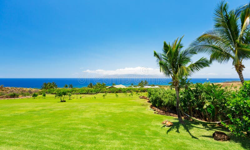 Green Field and Ocean View stock image. Image of ocean - 40623359