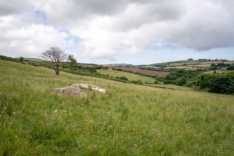 Cornish field stock image. Image of england, rock, nature - 125025823