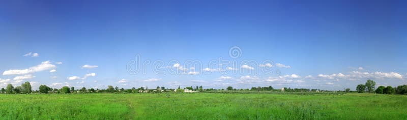 Green field panorama stock photo. Image of grass, horizon - 5600266