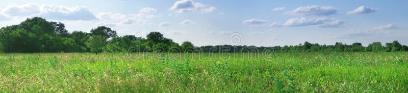 Green field panorama stock photo. Image of lawn, green - 5600818