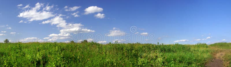 Green field panorama stock image. Image of season, country - 5601355