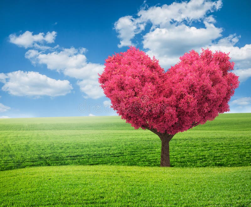 Green Field and Pink Tree in Shape of Heart Stock Illustration ...