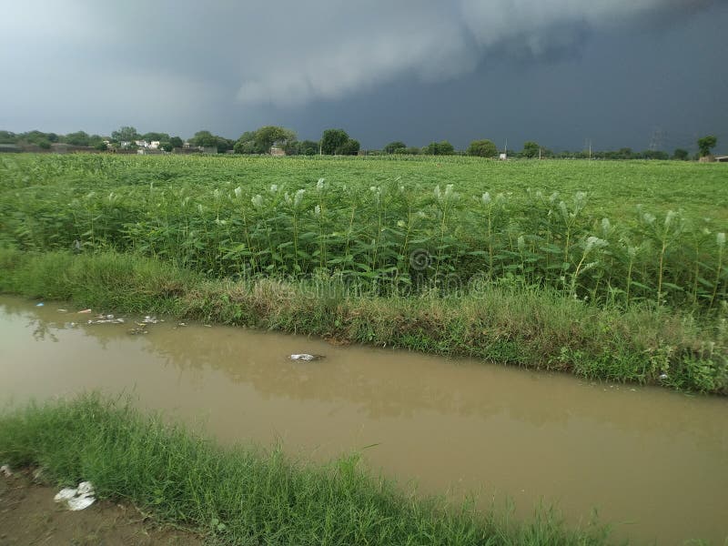 Green Field with Dark Cloud Raining Season Stock Image - Image of field ...