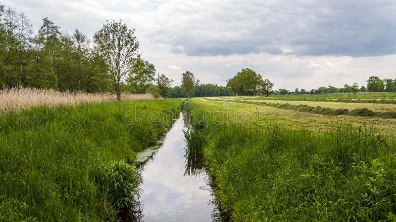 Green Field with River in the Middle and Cloudy Sky Stock Image - Image ...