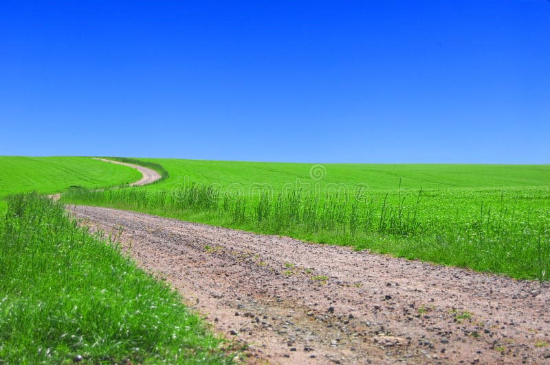 Green Field with Road and Blue Sky. Stock Photo - Image of grassland ...