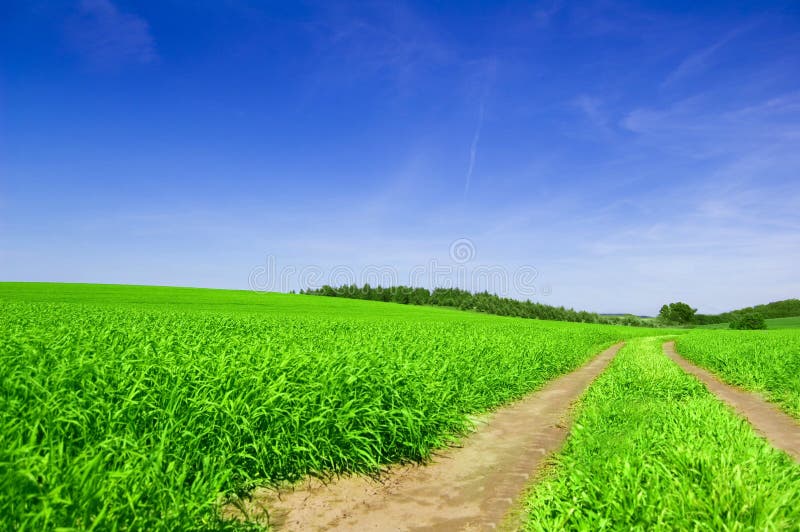 Green Field with Road and Blue Sky. Stock Photo - Image of cloudy ...