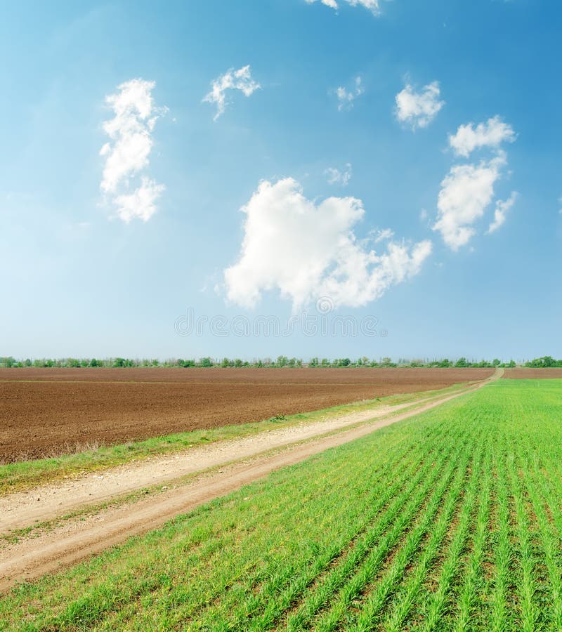 Green Field with Road and Blue Sky Stock Photo - Image of perspective ...