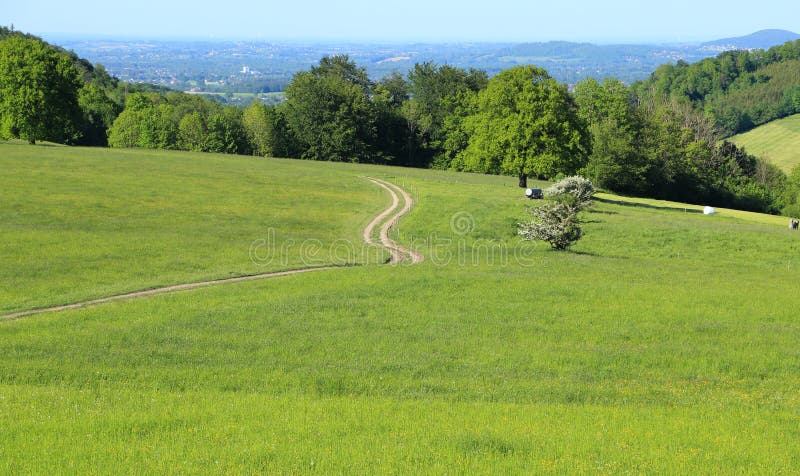 Green field stock image. Image of green, landscape, track - 187027503