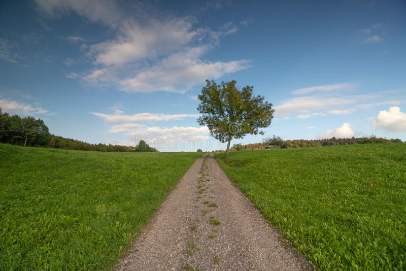 Green field with a road stock photo. Image of island - 266104226
