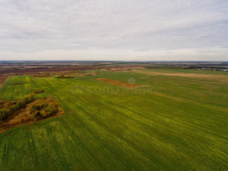 Green Field and Sky with Clouds. Stock Image - Image of fields ...