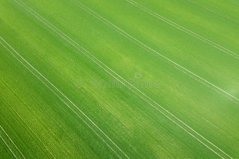 Green Field Spring Season. Aerial View. Wheat Stock Image - Image of ...