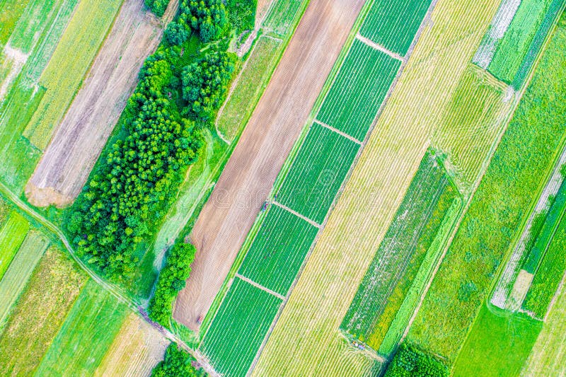 Green Field Spring Season. Aerial View Stock Photo - Image of meadow ...