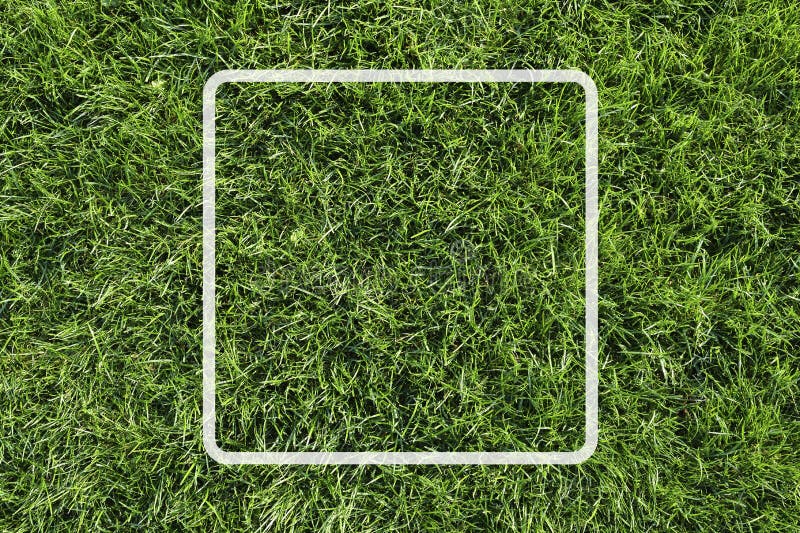Green Field with Square White Frame. Mock Up or Template Stock Photo ...